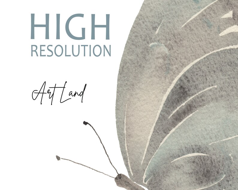 Watercolor Butterflies Clip Art Set Hand Painted Butterfly - Etsy