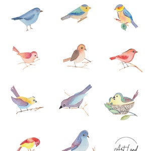 Watercolor Birds Clipart – 14 Hand-painted Garden Bird Pngs for DIY ...