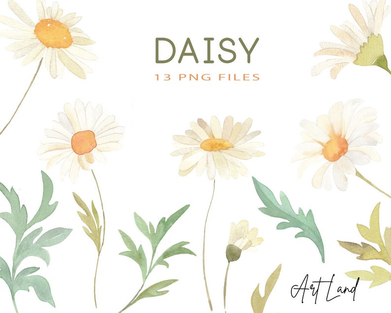 Watercolor Daisy Flower Clipart Watercolor Clip Art - Etsy