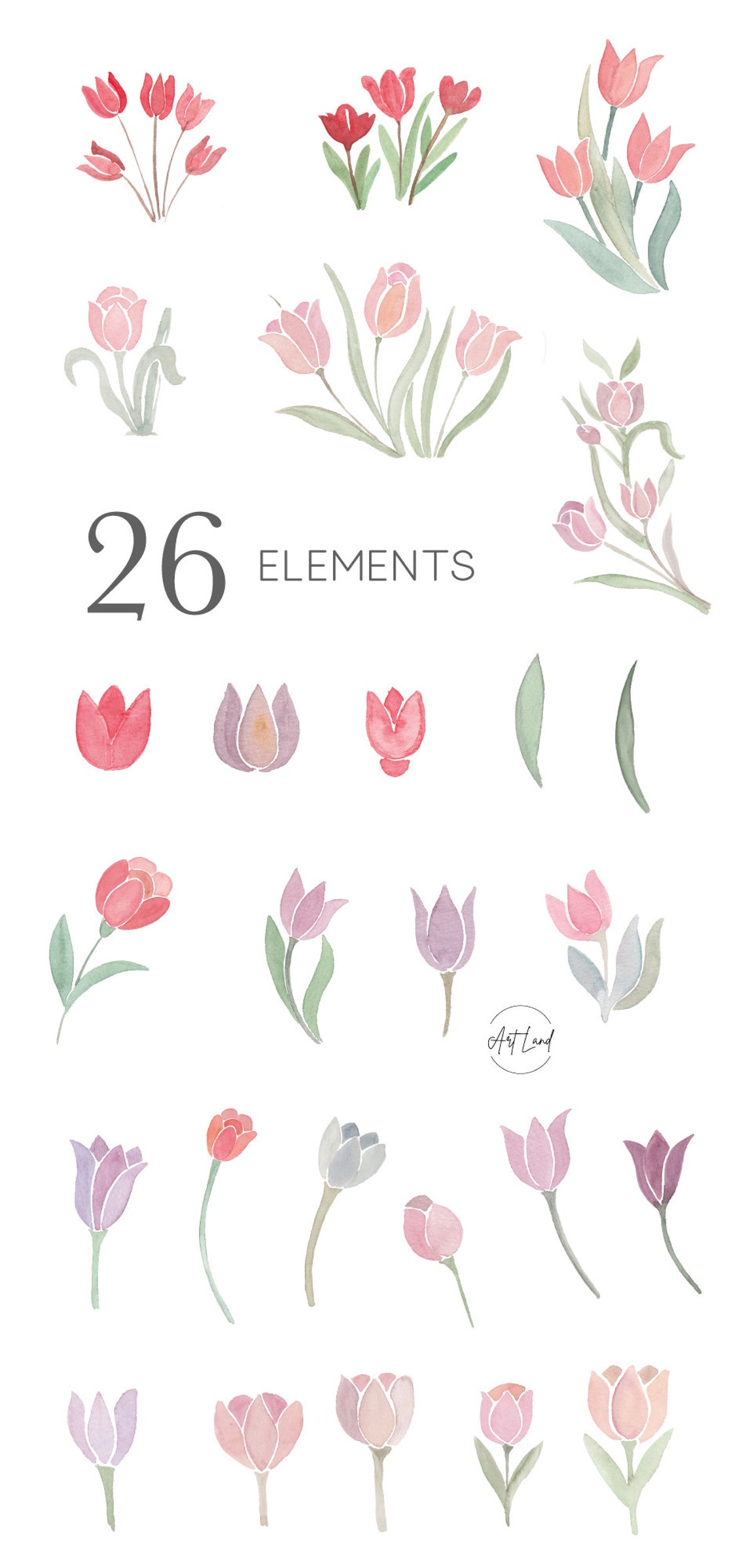 Watercolor Tulips Clipart Watercolour Clip Art Digital Tulip - Etsy