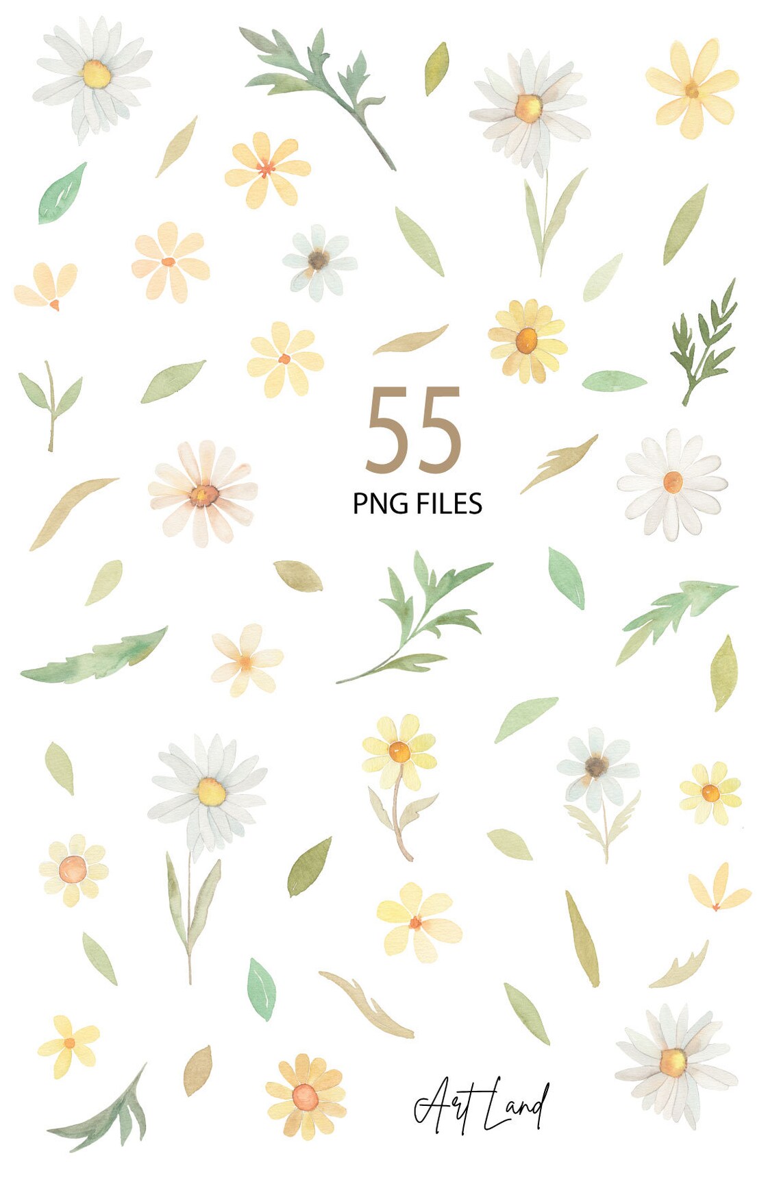 Watercolor Daisy Flower Clipart, Watercolor Clip Art, Watercolour Clip ...