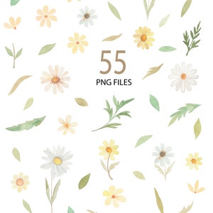 Watercolor Daisy Flower Clipart, Watercolor Clip Art, Watercolour Clip ...