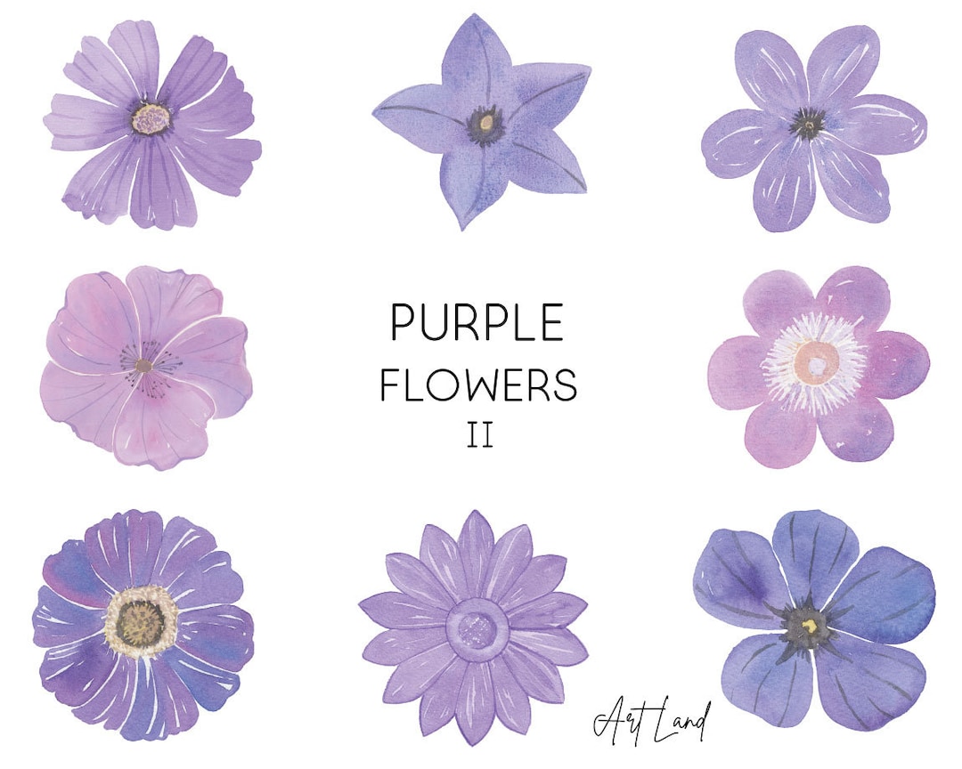 Watercolor Purple Flowers Clipart: 11 Hand-painted Elements (PNG ...