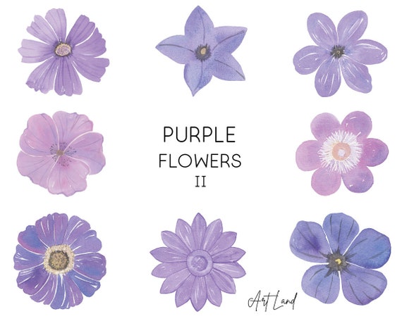 Acuarela De Flores Moradas