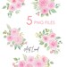 Watercolor Floral Clipart Pink Roses Bundle, Watercolour Clip Art ...