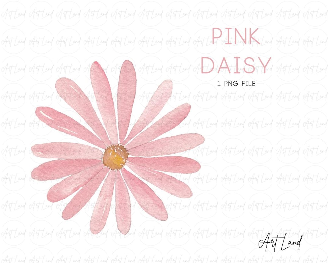 Watercolor Pink Daisy Clipart: Hand-painted Floral Illustration (PNG ...