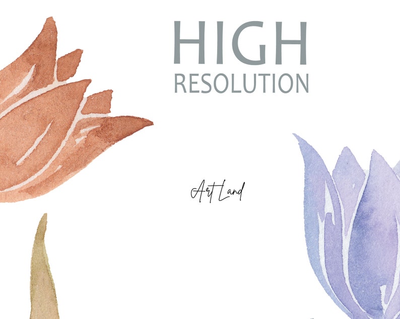 Watercolor Tulips Clipart Watercolour Clip Art Digital Tulip - Etsy