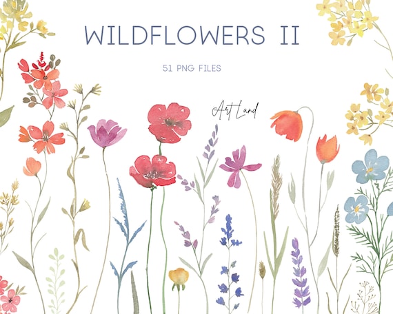 Watercolor Wildflowers clipart Botanical floral Wild flowers | Etsy