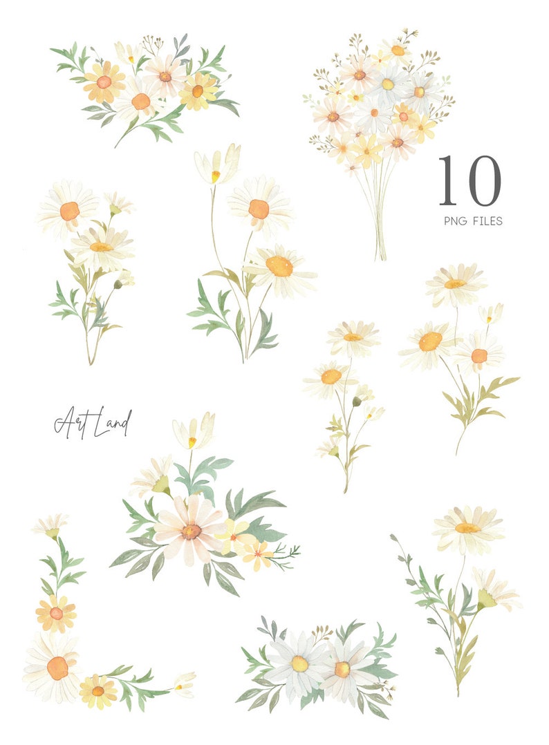 Watercolor Daisy Flower Arrangement Clipart, Daisy Bouquet Watercolour ...