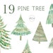 Watercolor Pine Tree Clipart Christmas Tree Clipart | Etsy