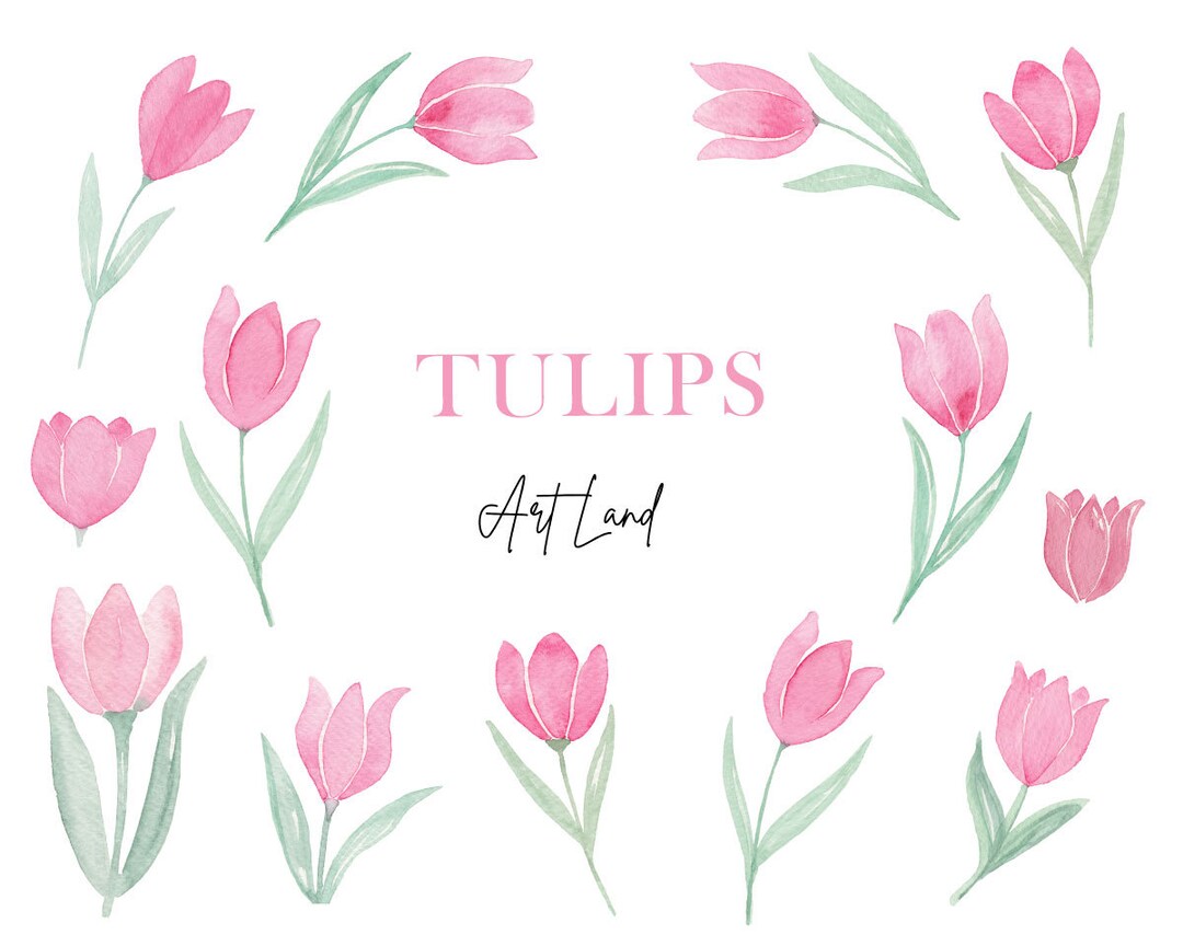 Watercolor Tulips Clipart Set – 21 Hand-painted Pink Tulip Pngs for DIY ...