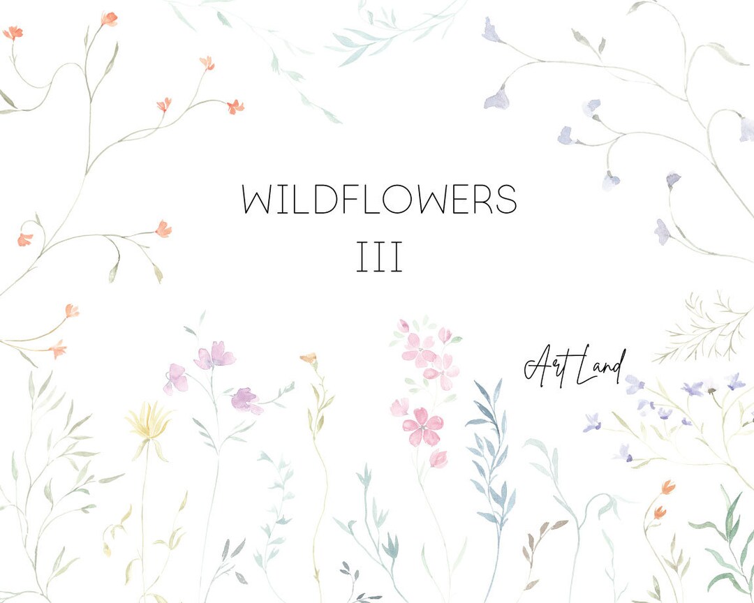 Watercolor Wildflowers Clipart, Botanical Floral, Wild Flowers ...