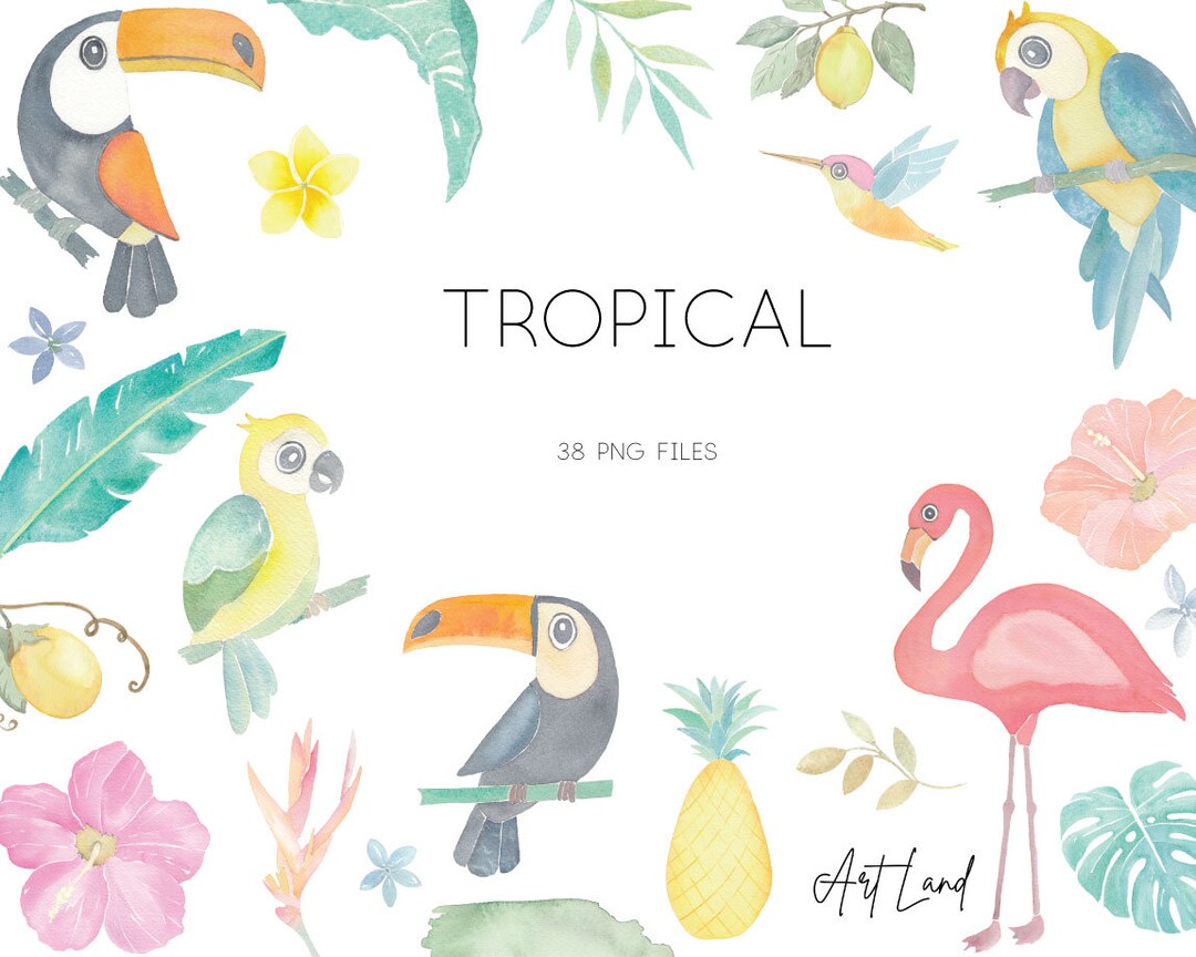 Watercolor Tropical Clipart, Flowers, Birds, Fruits, Flamingo,tropical ...