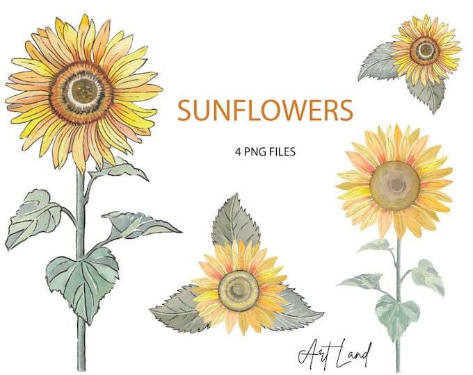 Sunflower Clipart, Sunflowers PNG, Sunflower Watercolor Clipart Pack ...