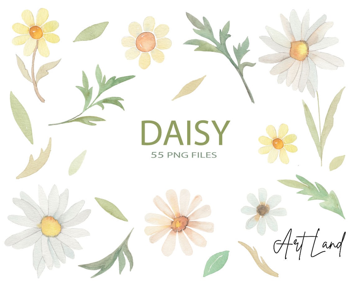 Watercolor Daisy Flower Clipart, Watercolor Clip Art, Watercolour Clip ...