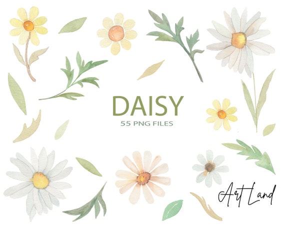 Watercolor Daisy Flower Clipart Watercolor Clip Art - Etsy