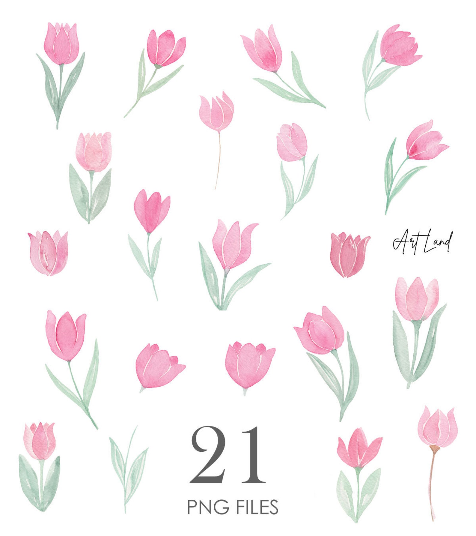 Watercolor Tulips Clipart Watercolour Clip Art Digital Pink - Etsy