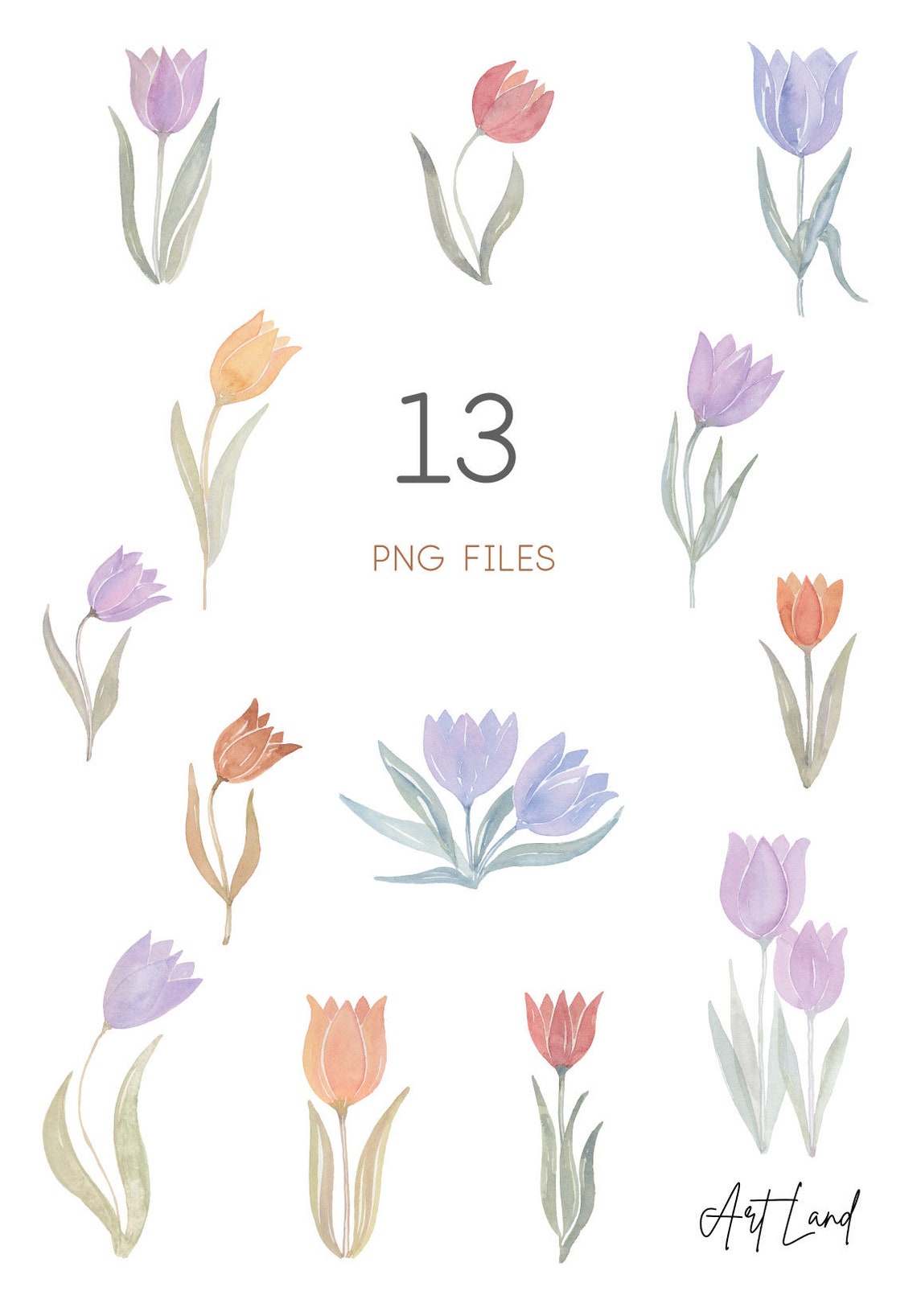 Watercolor Tulips Clipart Watercolour Clip Art Digital Tulip - Etsy