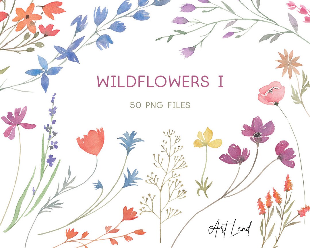 Watercolor Wildflowers Clipart Bundle I – 50 Hand-painted Botanical ...