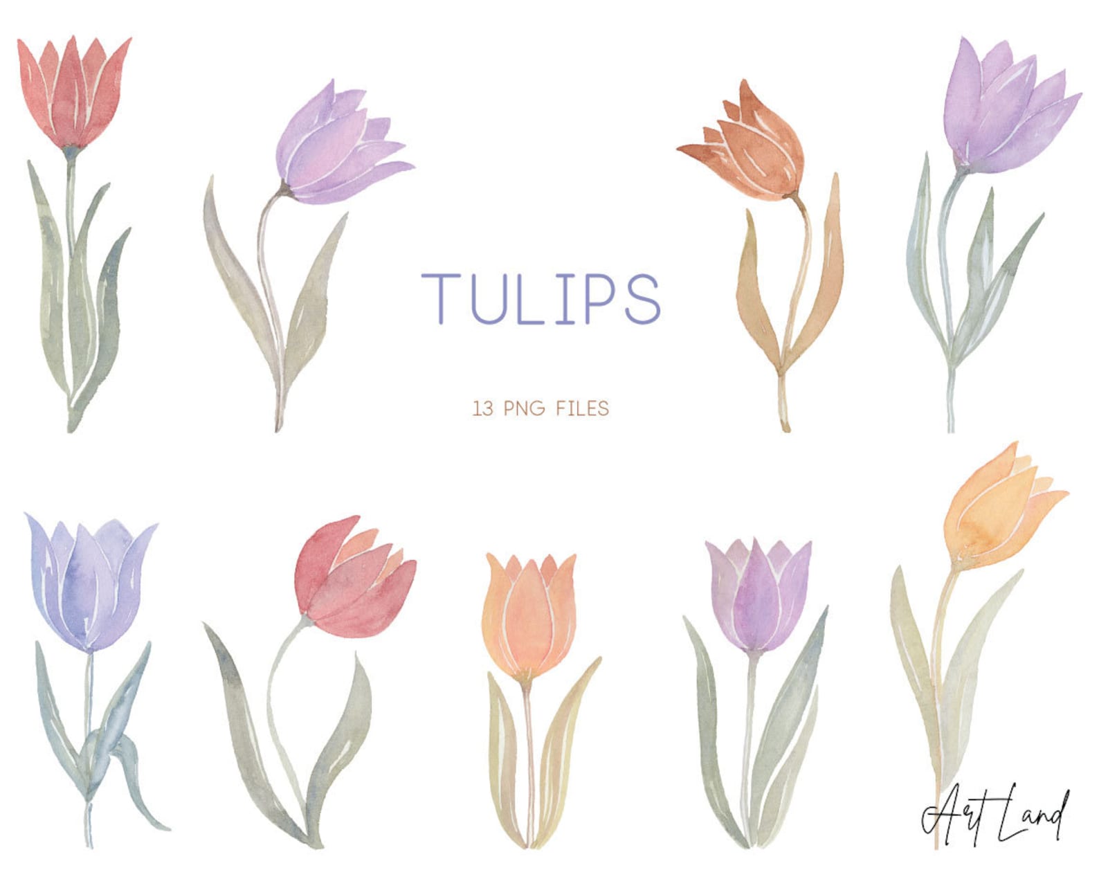 Watercolor Tulips Clipart Watercolour Clip Art Digital Tulip - Etsy
