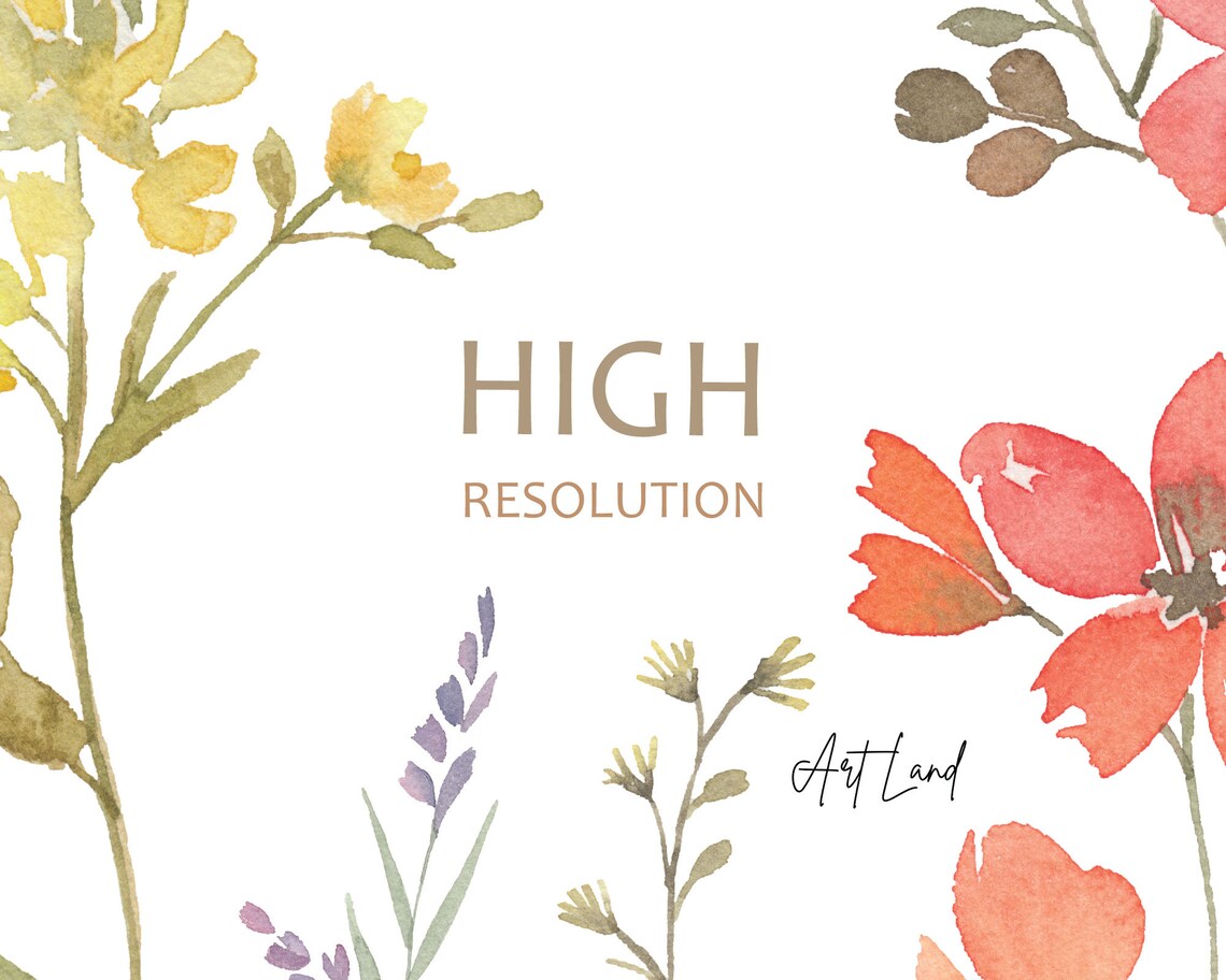 Watercolor Wildflowers clipart Botanical floral Wild flowers | Etsy