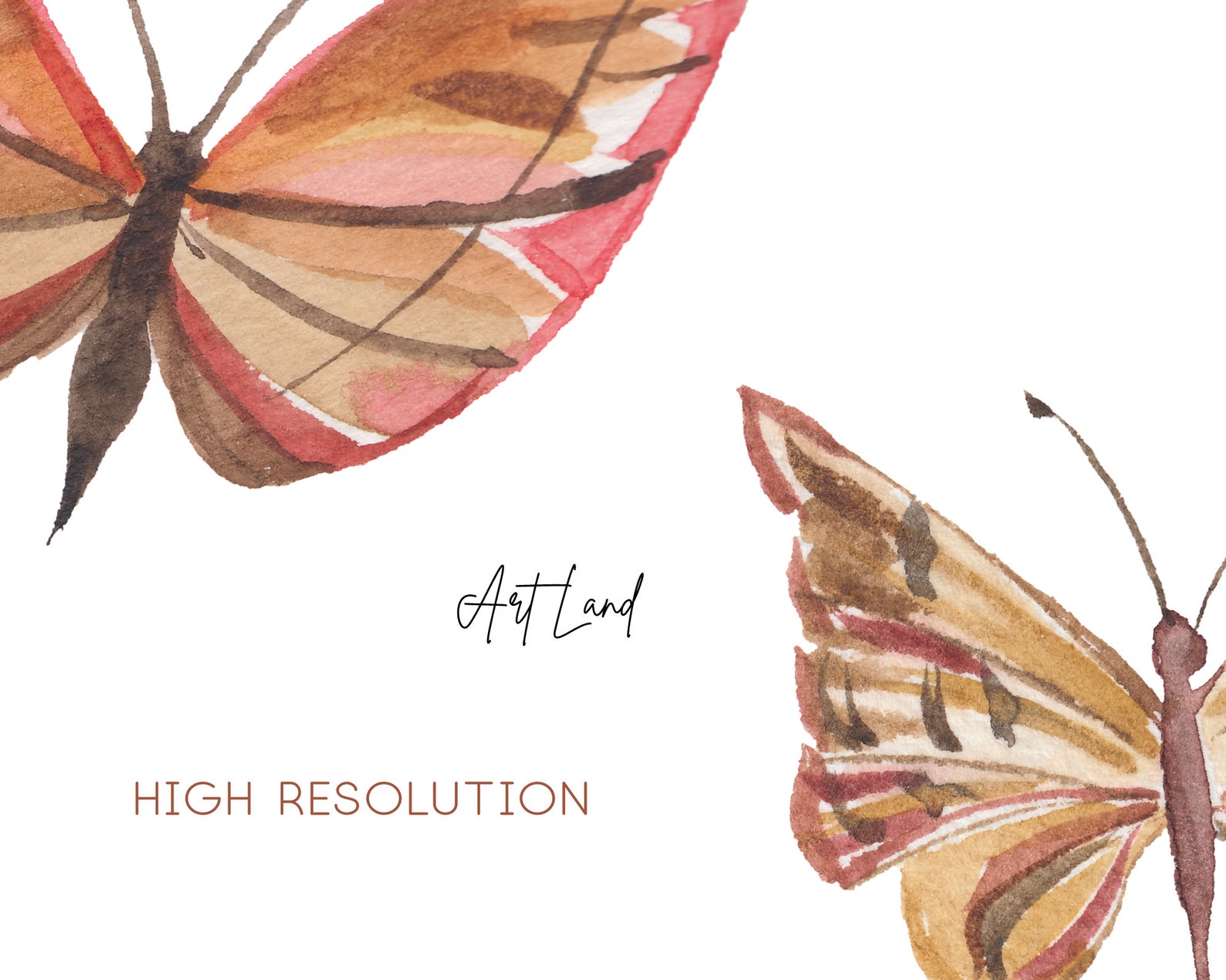 Watercolor Butterflies Clip Art Set Hand Painted Butterfly - Etsy