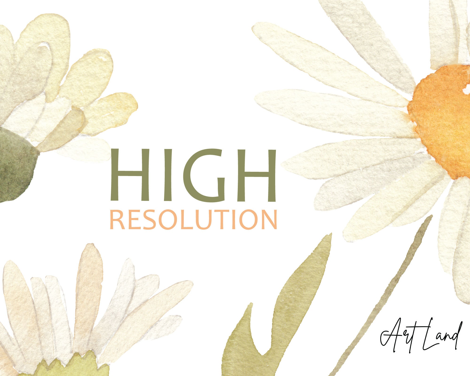Watercolor Daisy Flower Clipart, Watercolor Clip Art, Watercolour Clip ...