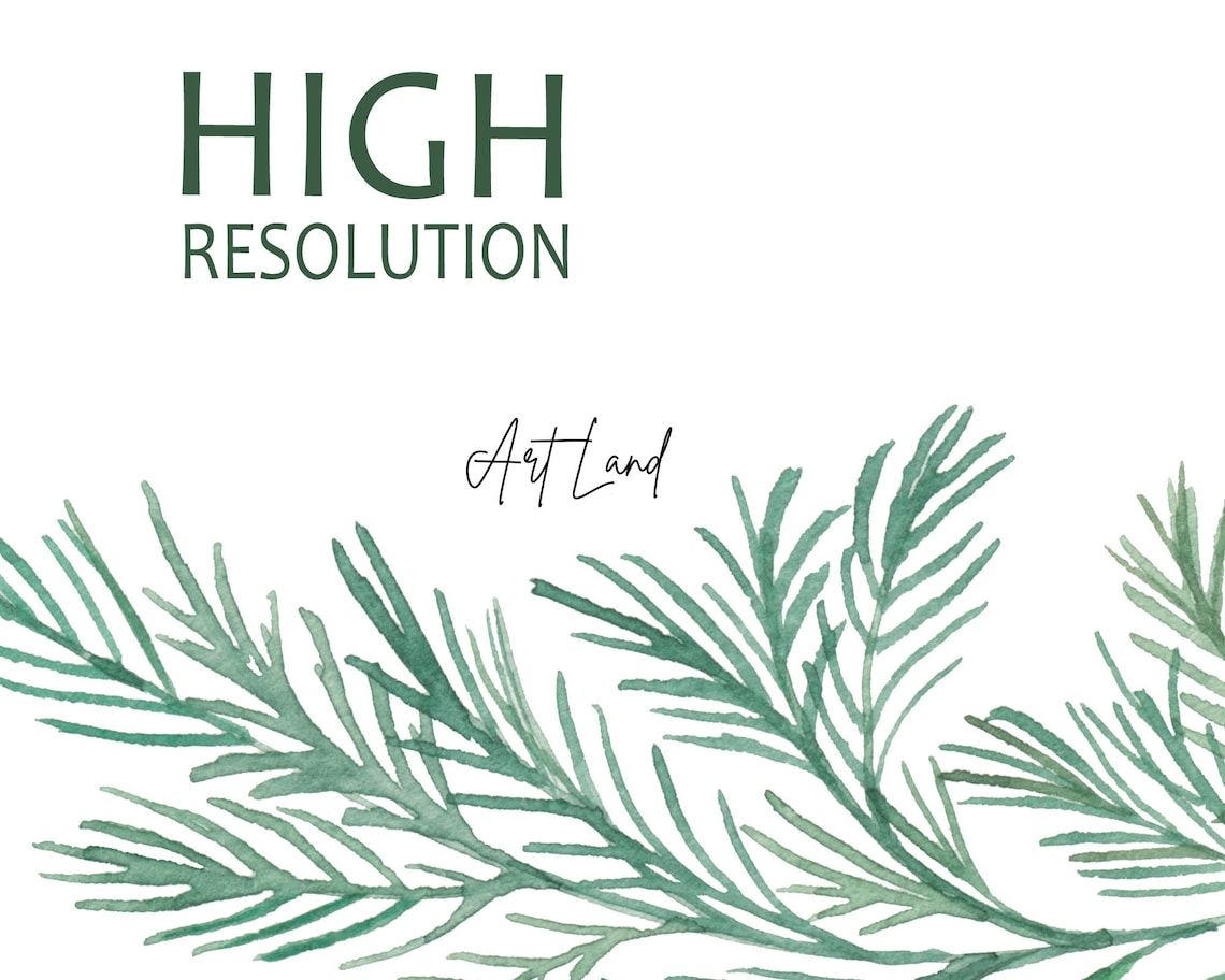 Christmas Greenery Clipart Watercolor Winter Clipart Holiday - Etsy