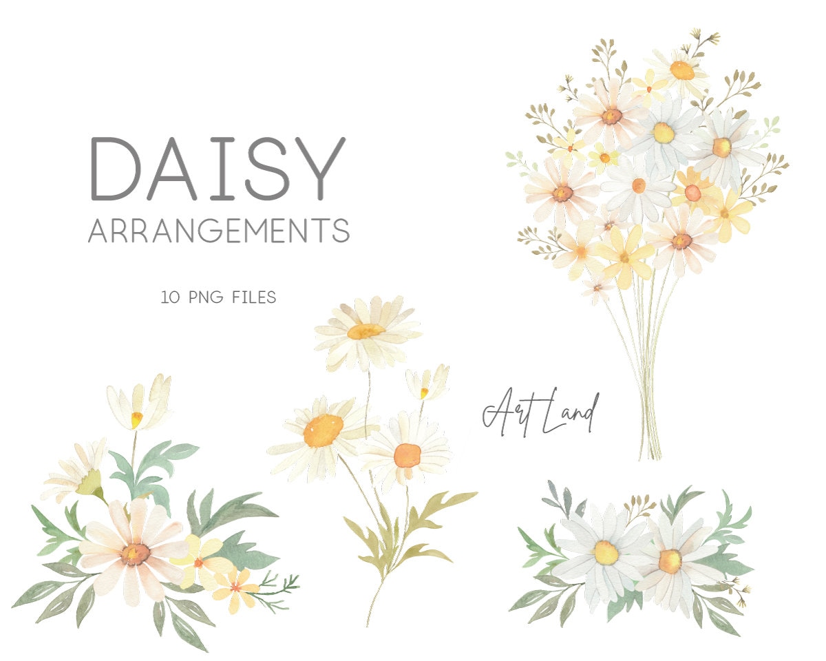 Watercolor Daisy Flower Arrangement Clipart Daisy Bouquet | Etsy