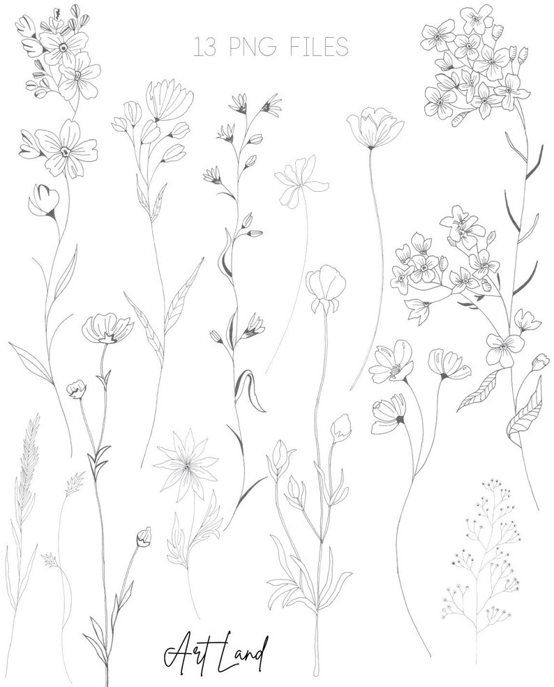 Hand Drawn Line Art Line Art Wildflowers line - Etsy