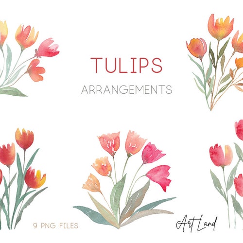 Watercolor Tulips Clipart Watercolour Clip Art Digital Tulip - Etsy