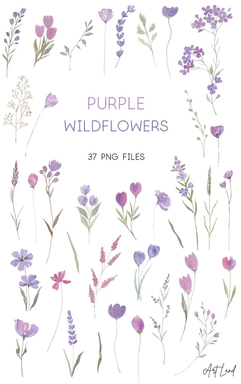 Watercolor Purple Wildflowers Clipart Botanical Floral Wild - Etsy