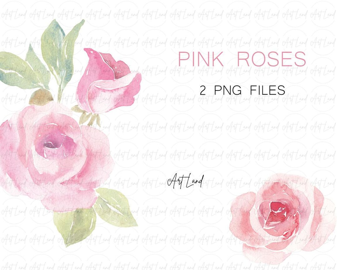 Watercolor Pink Roses Clipart – 2 Hand-painted Floral PNG Files - Etsy