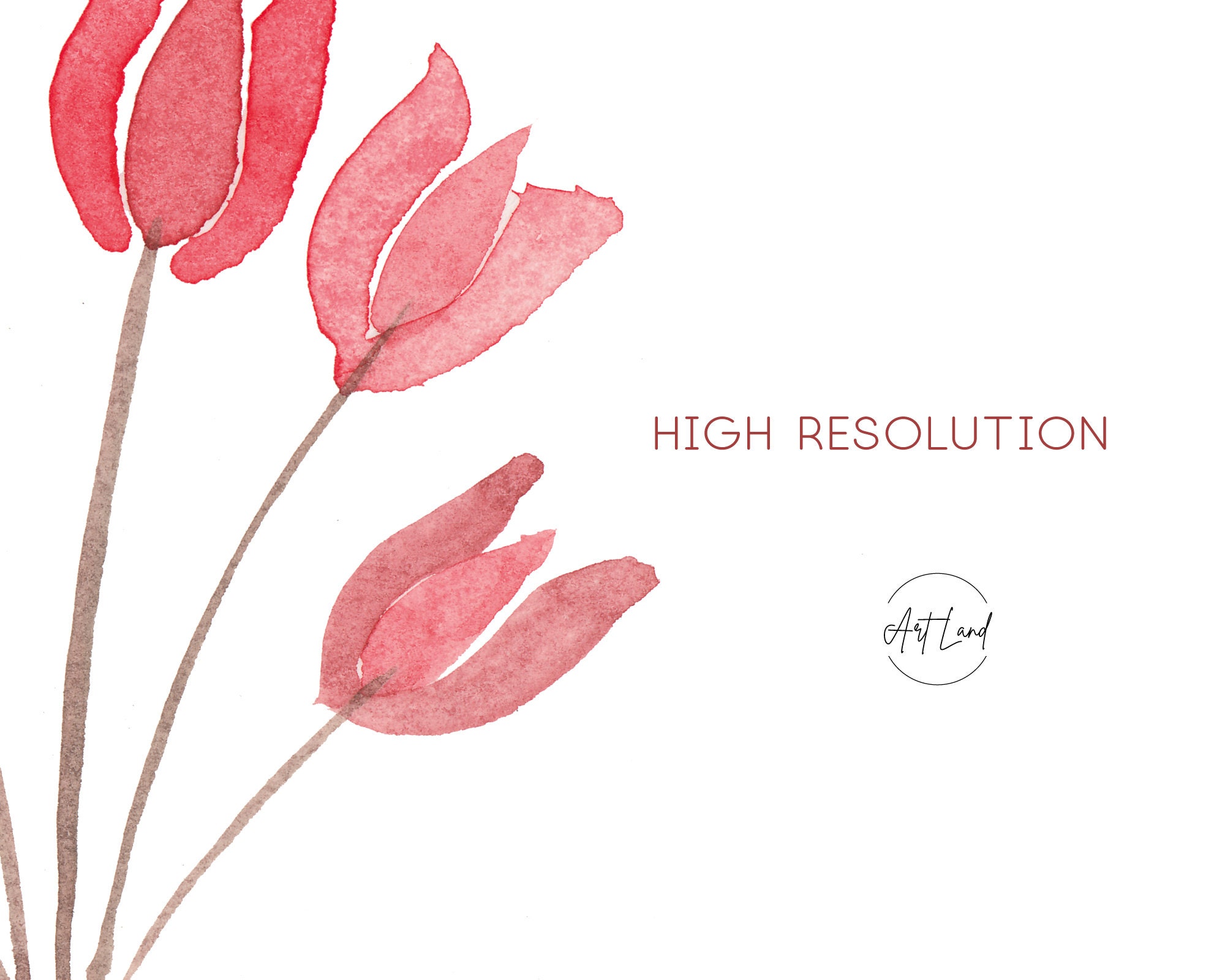 Watercolor Tulips Clipart Watercolour Clip Art Digital Tulip - Etsy