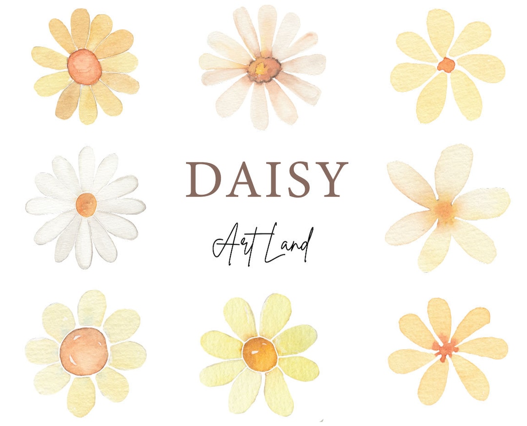 Watercolor Daisy Clipart Set, Spring Floral Art, Chamomile ...