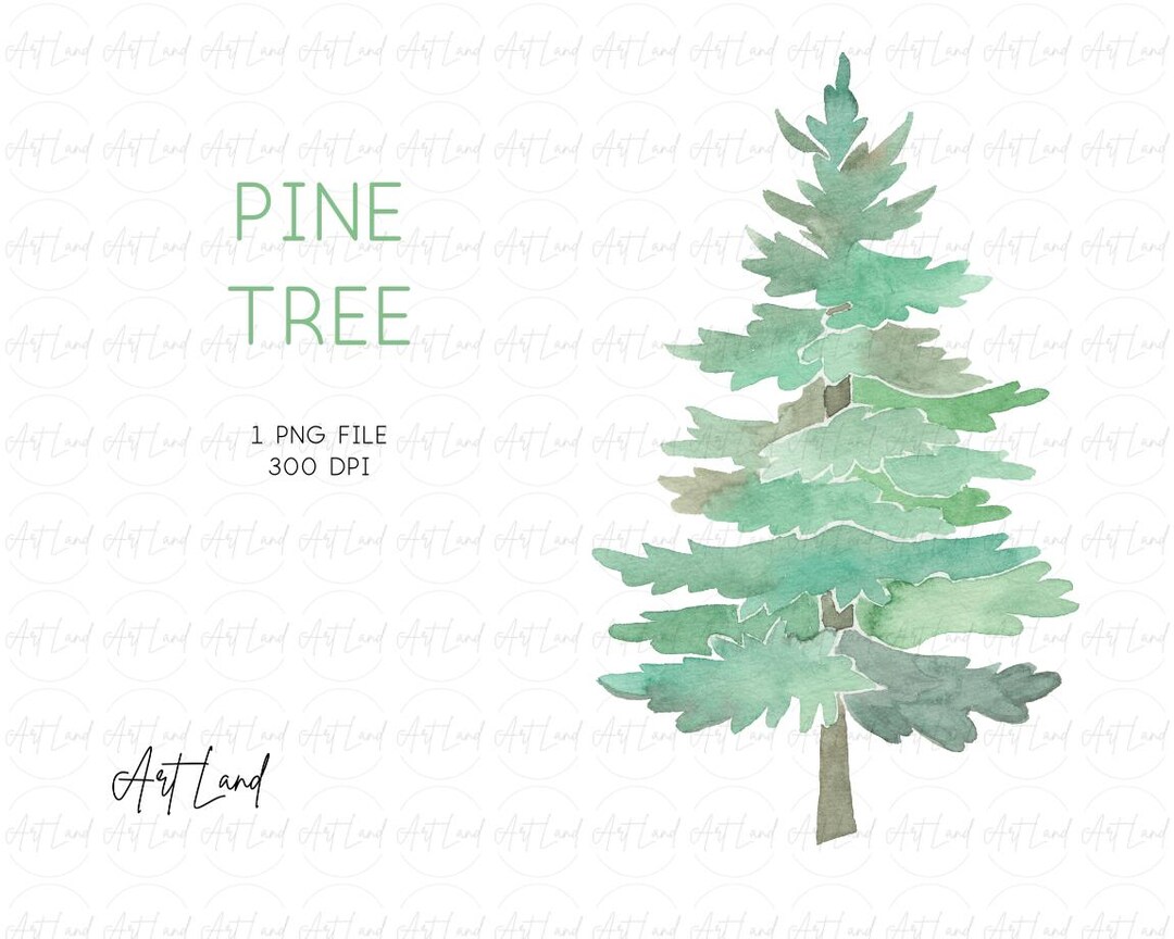 Watercolor Pine Tree Clipart, Hand Painted Evergreen Tree, Nature ...