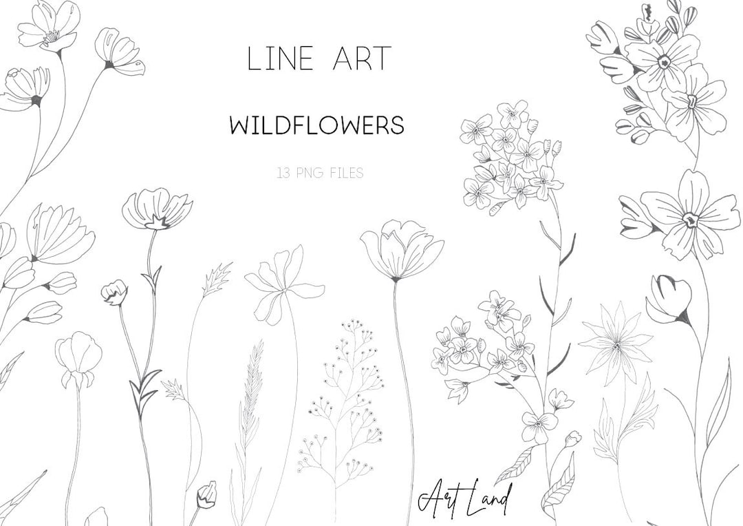 Hand Drawn Line Art, Line Art Wildflowers ,line Artwildflowers, Clip ...