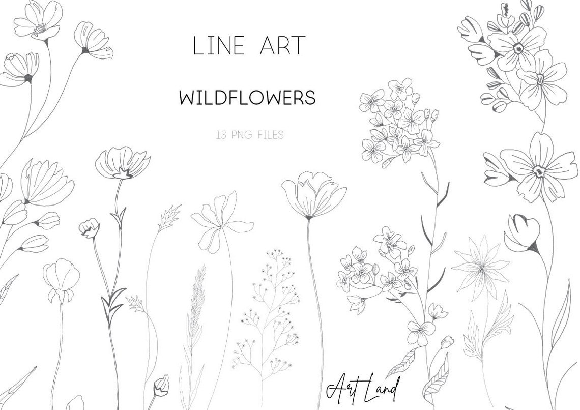 Hand Drawn Line Art Line Art Wildflowers line - Etsy