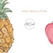 Watercolor Clipart, Fruit Clipart, Food, Tropical Watercolour Clipart ...