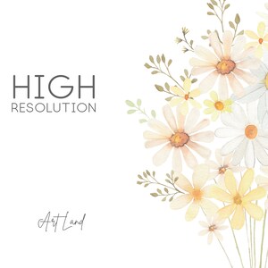Watercolor Daisy Flower Arrangement Clipart, Daisy Bouquet Watercolour ...