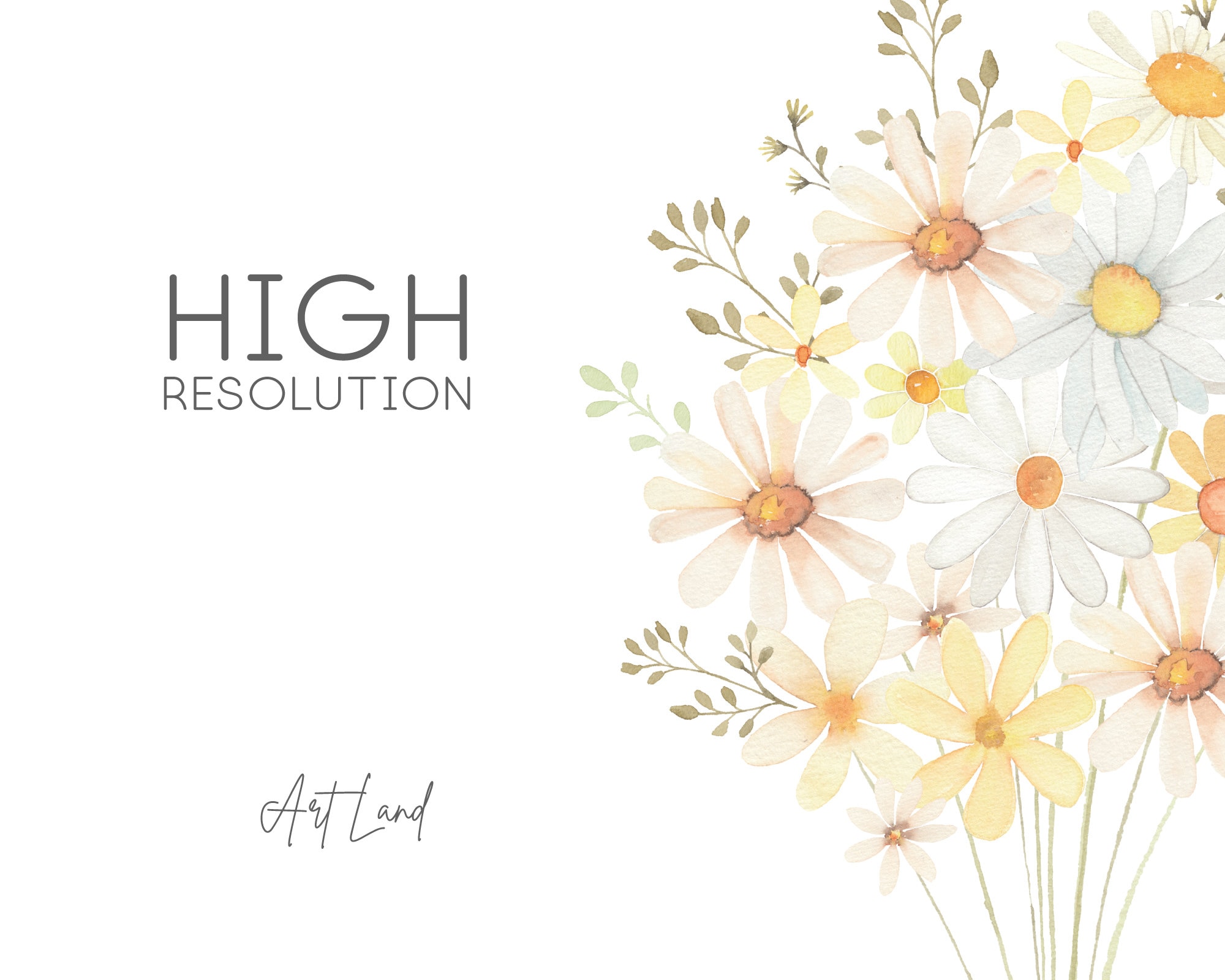 Watercolor Daisy Flower Arrangement Clipart Daisy Bouquet | Etsy