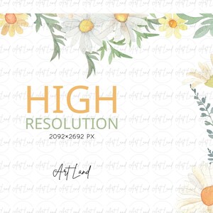 Watercolor Daisy Floral Frame PNG, Hand Painted Wildflower Border ...
