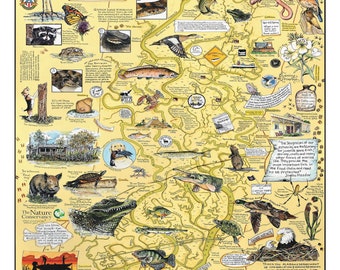 Tensaw River Delta Poster - Etsy