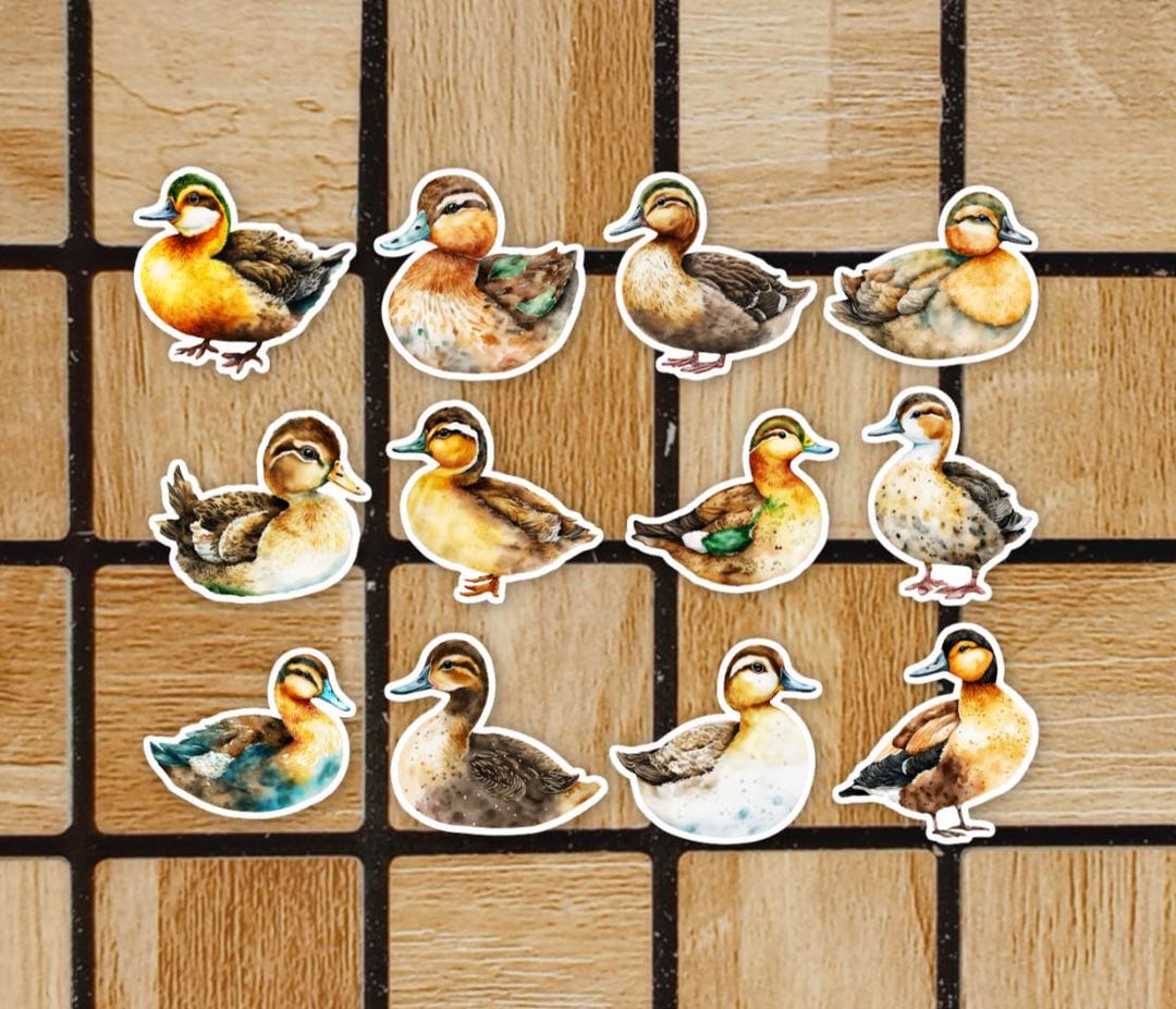 Set of 12 Watercolor Duck Stickers - Duck Sticker Pack - 2" Die Cut ...