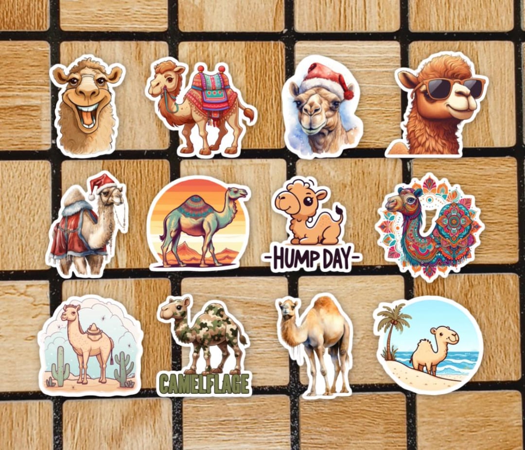 Set of 12 Camel Stickers - 2" Die Cut Sticker Pack - Cute Animal Laptop ...