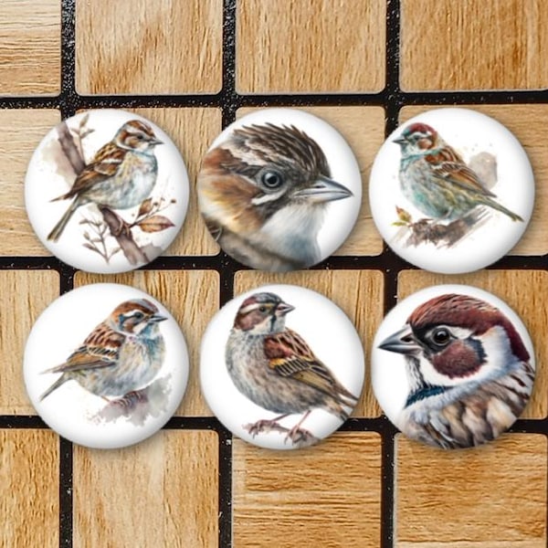Cute Bird Magnet - Etsy