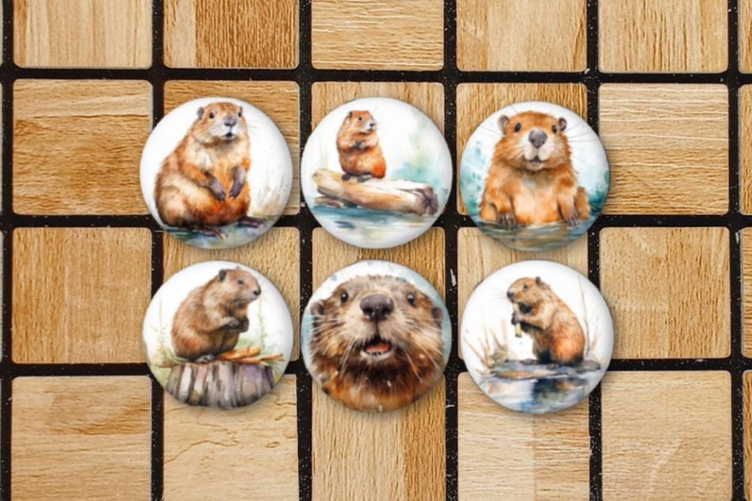 Set of 6 Beaver Fridge Magnets or Pinback Buttons - 1.25" Size - Cute ...