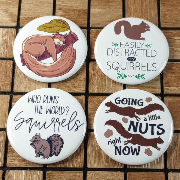 Funny Squirrel Magnets - Etsy