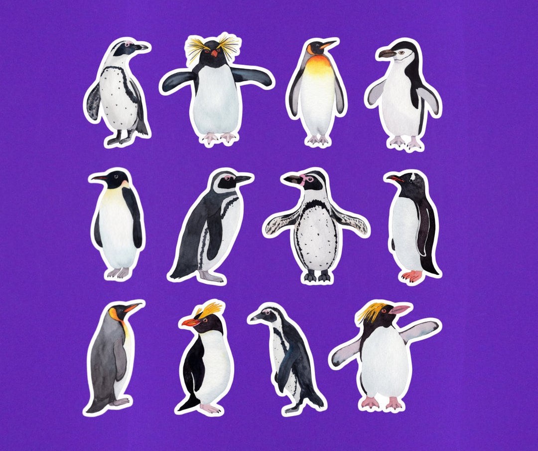 Set of 12 Watercolor Penguin Stickers Approx 2 on Longest Side Penguin ...