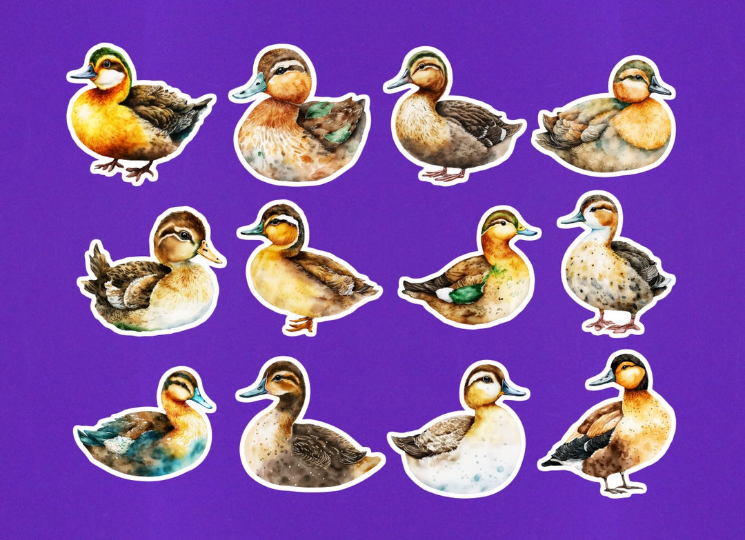Set of 12 Watercolor Duck Stickers / Duck Sticker Pack / 2 Die Cut ...